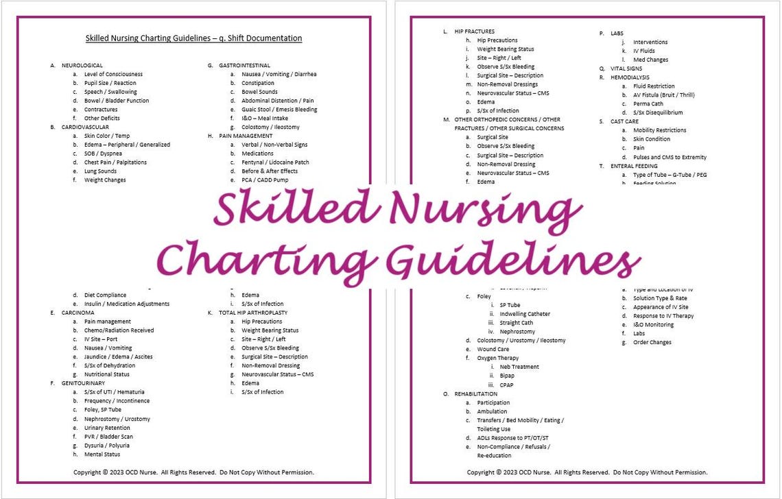 Skilled Nursing Charting Guidelines - Etsy