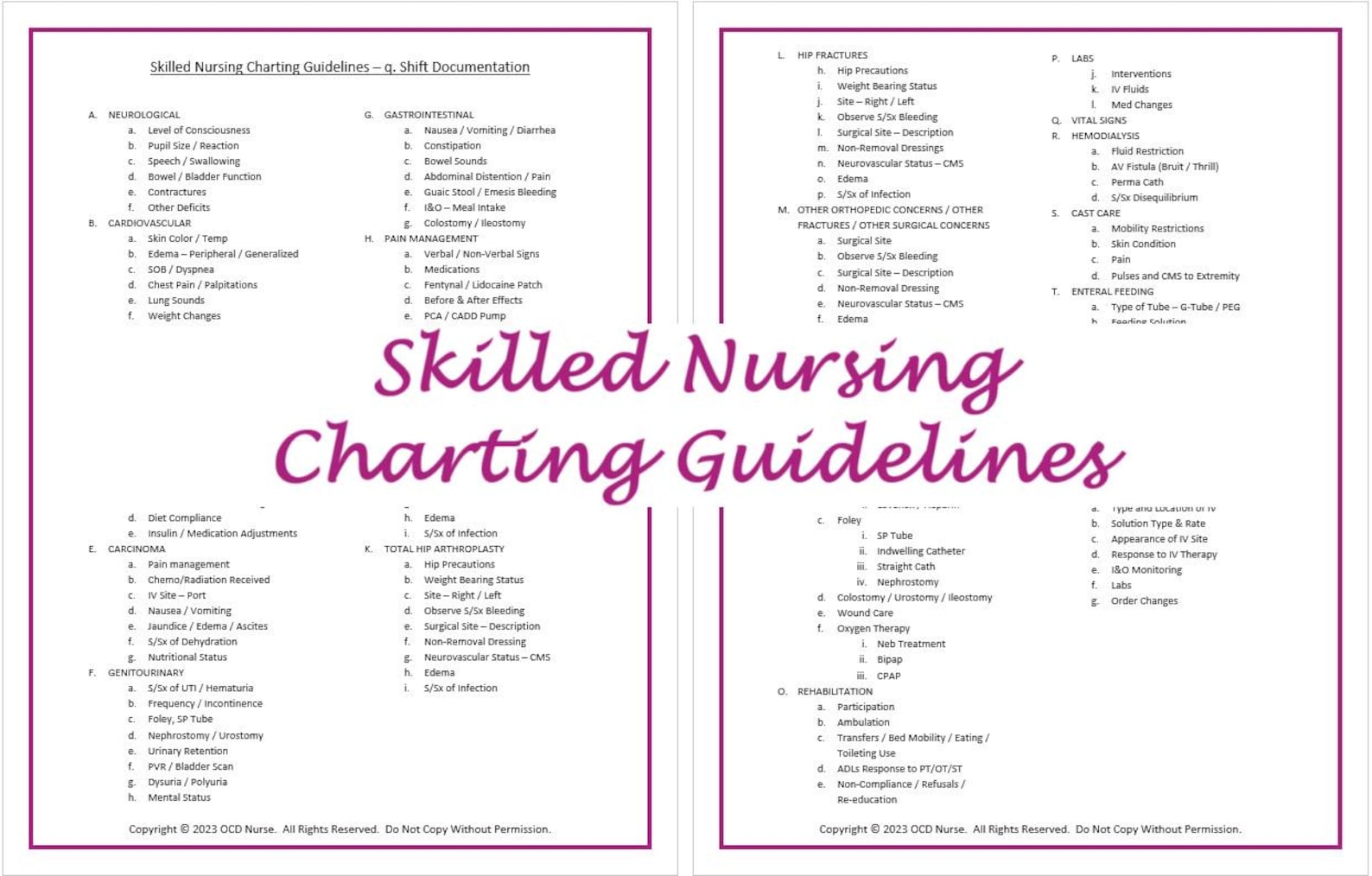 Skilled Nursing Charting Guidelines - Etsy
