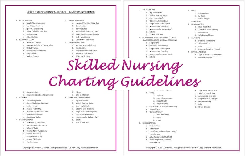 Skilled Nursing Charting Guidelines - Etsy
