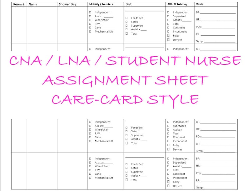 CNA or LNA Assignment Sheet Care Card Style - Etsy