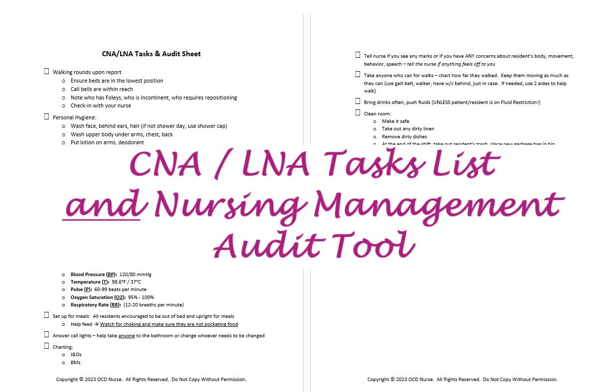 CNA or LNA Task List and Audit Sheet - Etsy