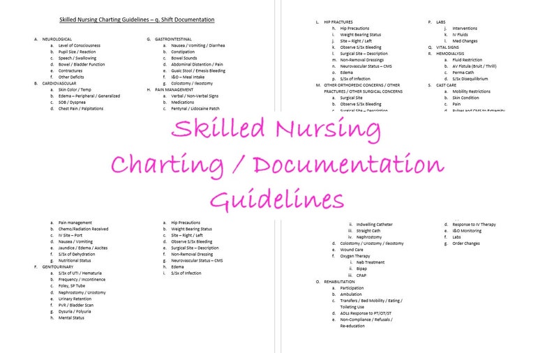 Skilled Nursing Charting Guidelines - Etsy