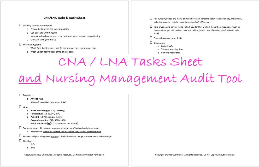 CNA or LNA Task List and Audit Sheet - Etsy