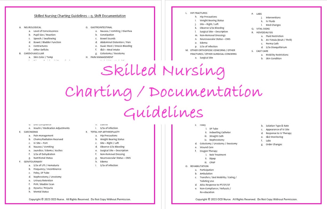 Skilled Nursing Charting Guidelines - Etsy