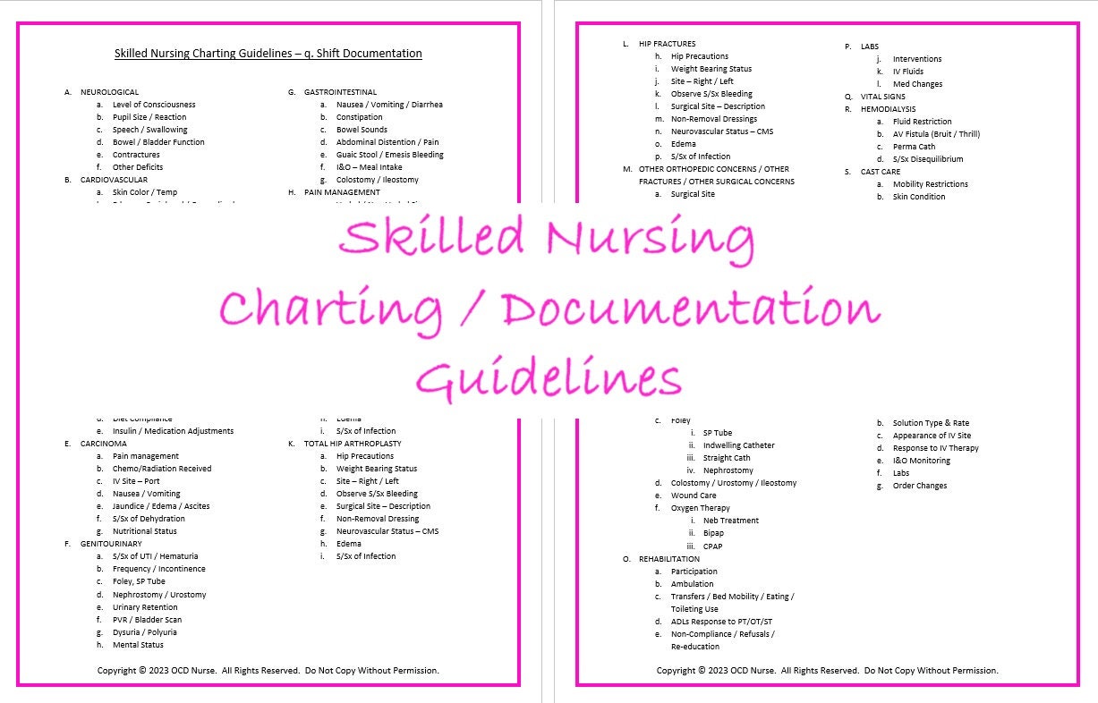 Skilled Nursing Charting Guidelines - Etsy