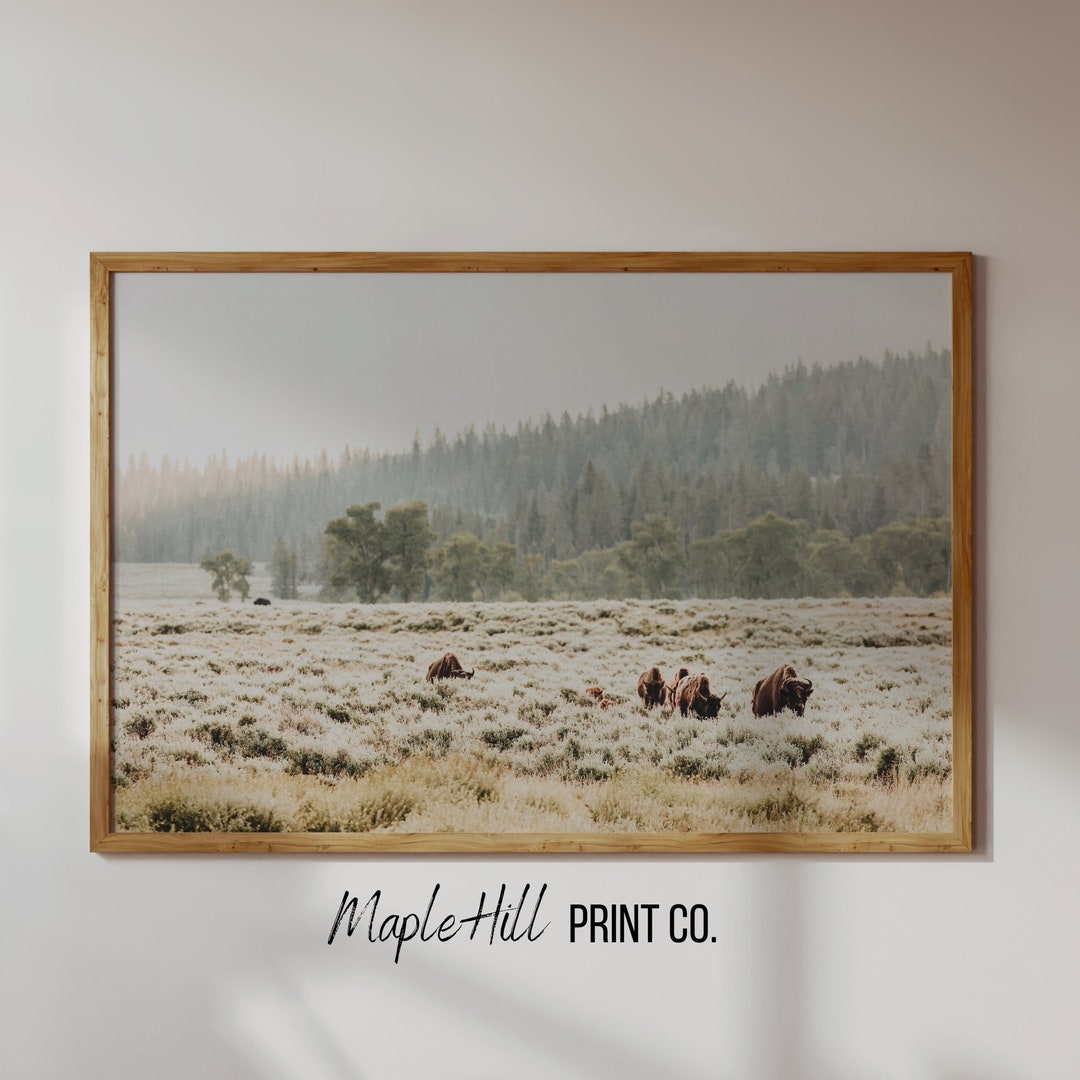 Buffalo Wall Art, Buffalo Wallpaper, Buffalo Print, Boho Buffalo Wall ...