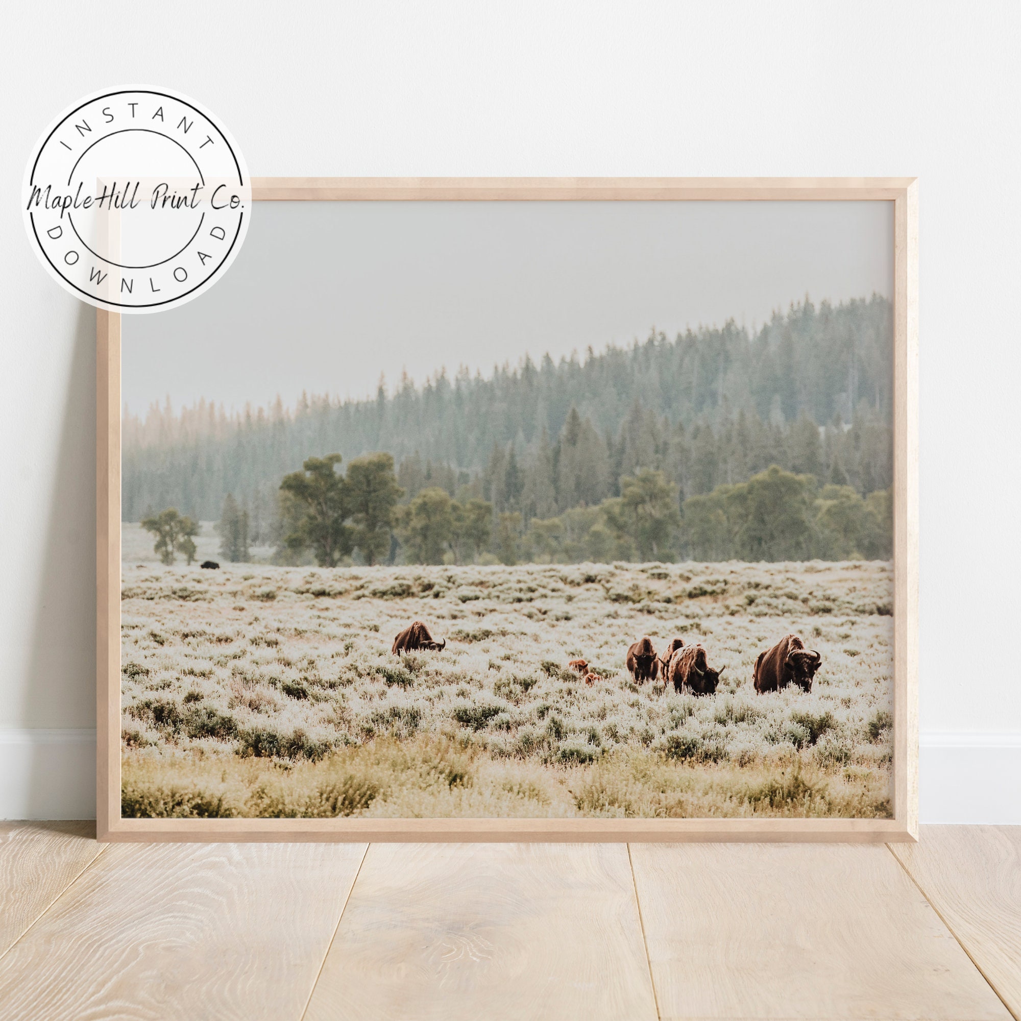 Buffalo Wall Art, Buffalo Wallpaper, Buffalo Print, Boho Buffalo Wall ...