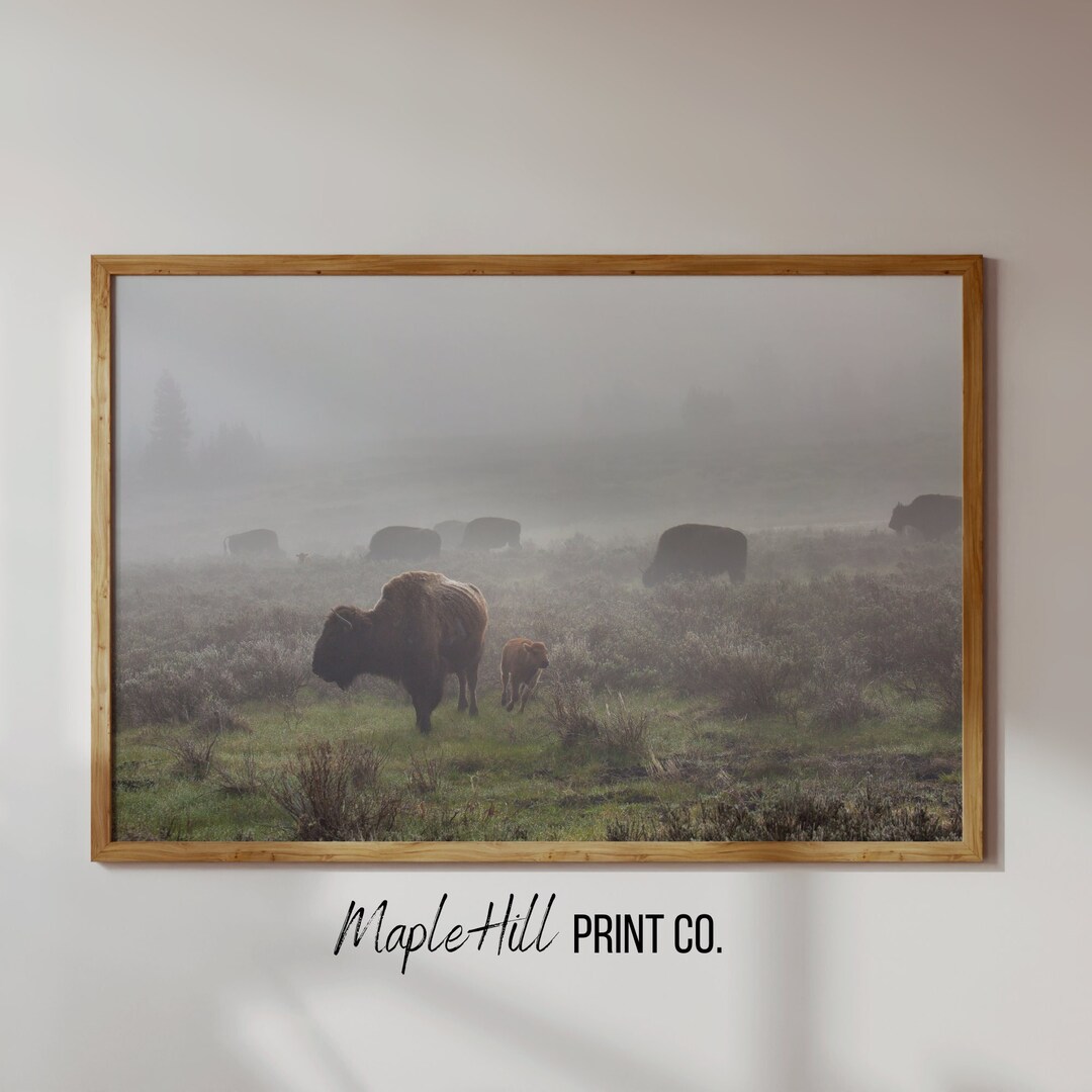 Buffalo Print, Printable Bison Art, Southwestern Decor, Wildlife ...