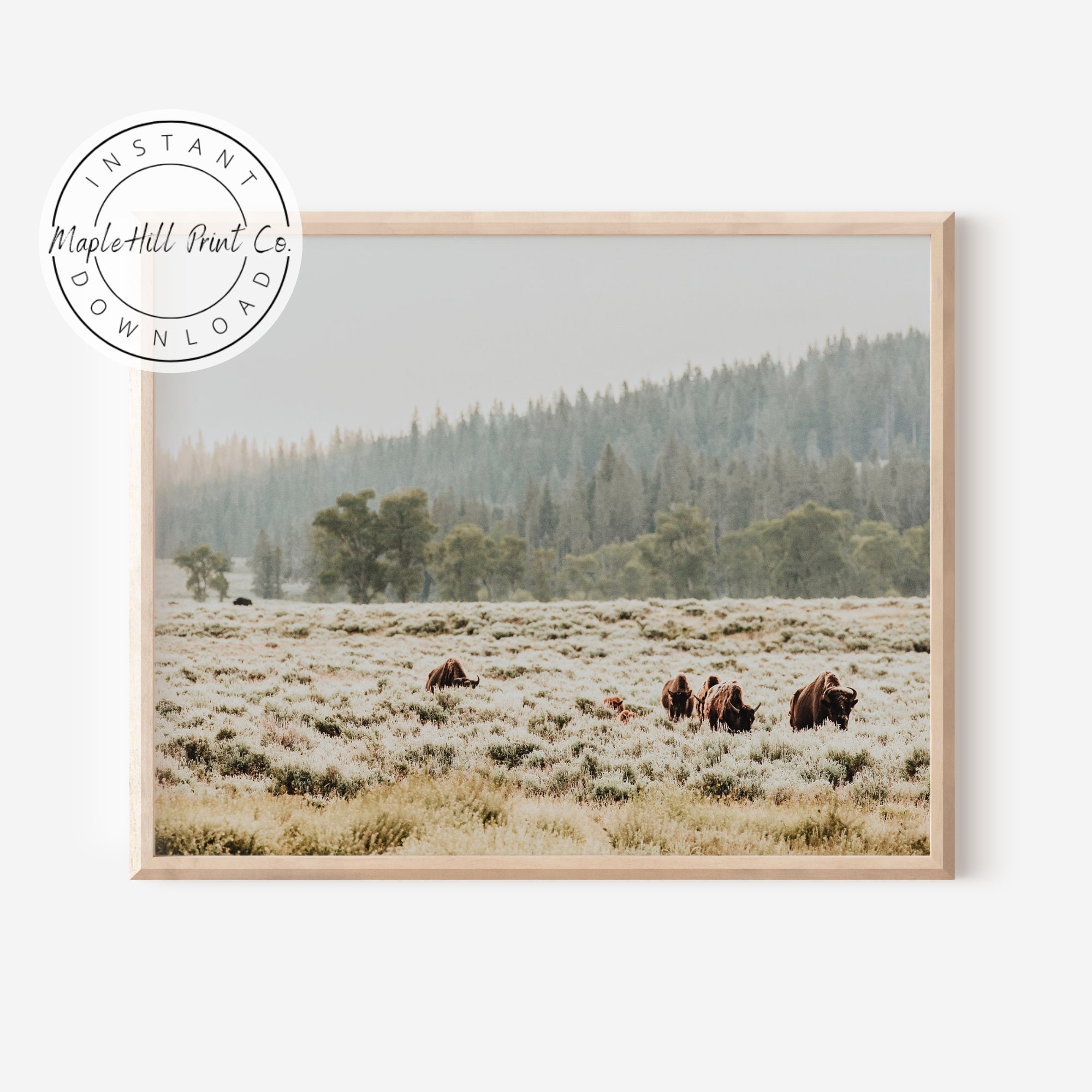 Buffalo Wall Art, Buffalo Wallpaper, Buffalo Print, Boho Buffalo Wall ...