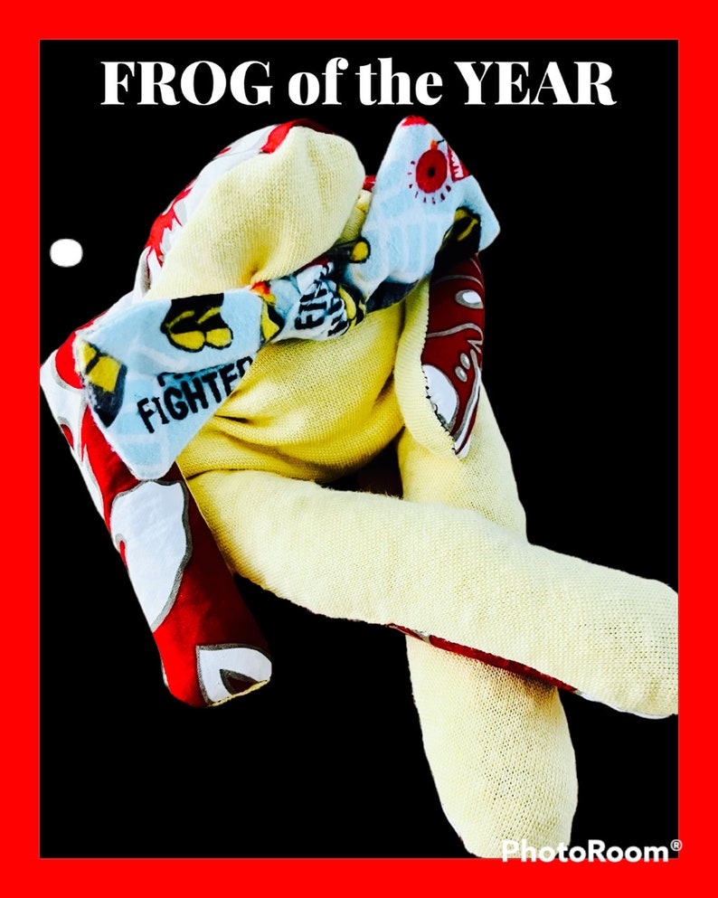 Bean Bag Frog PDF Sewing Pattern With Step by Step Photos - Etsy