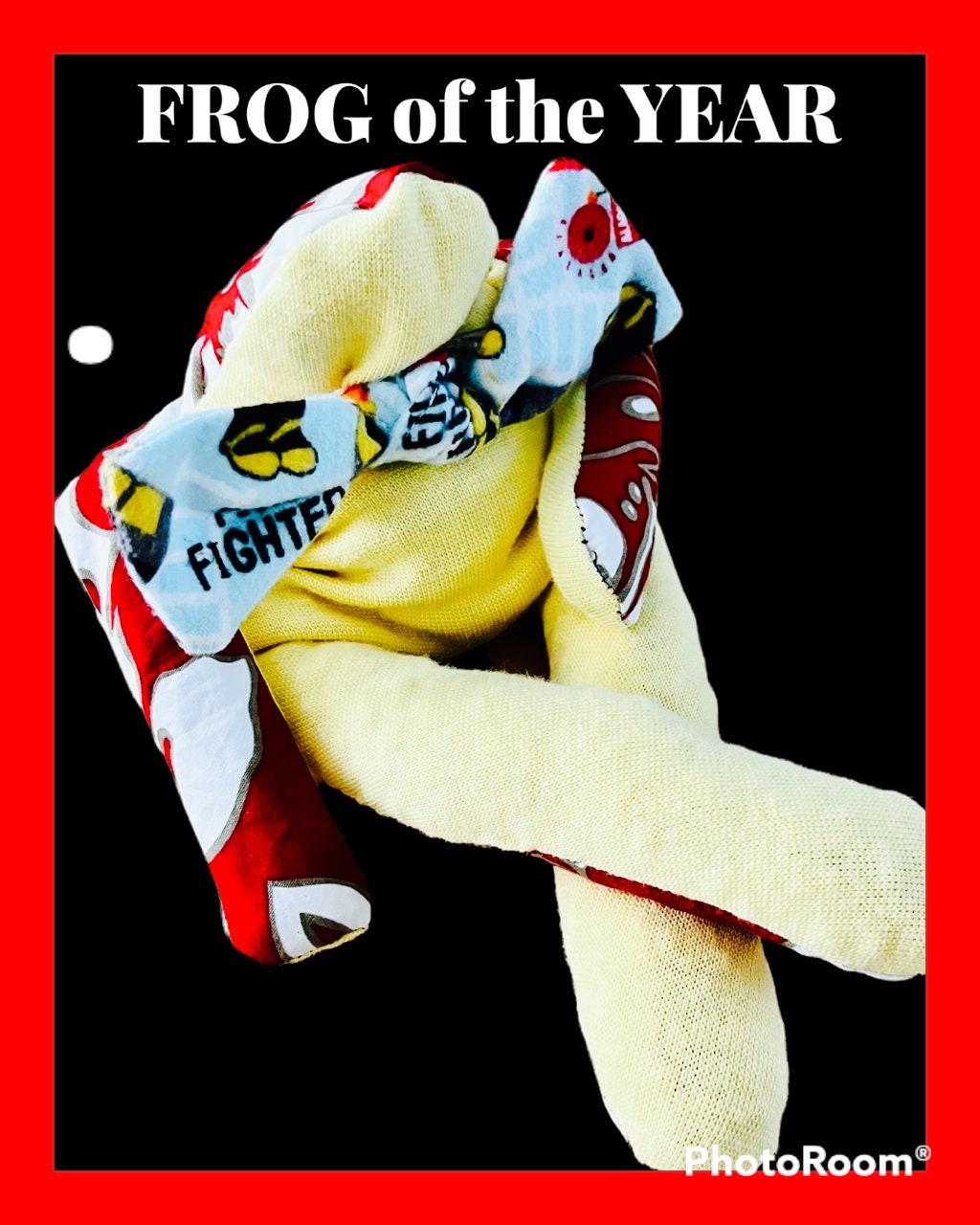 Bean Bag Frog PDF Sewing Pattern With Step by Step Photos - Etsy