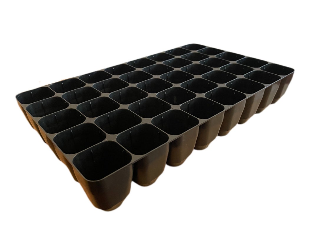 40 Deep Seedtrays - Etsy