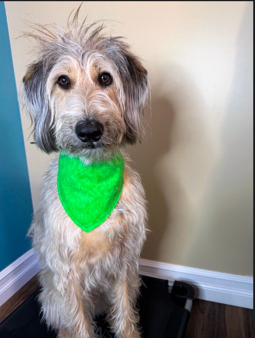 St. Patricks Day Double Sided Dog Bandana - Etsy