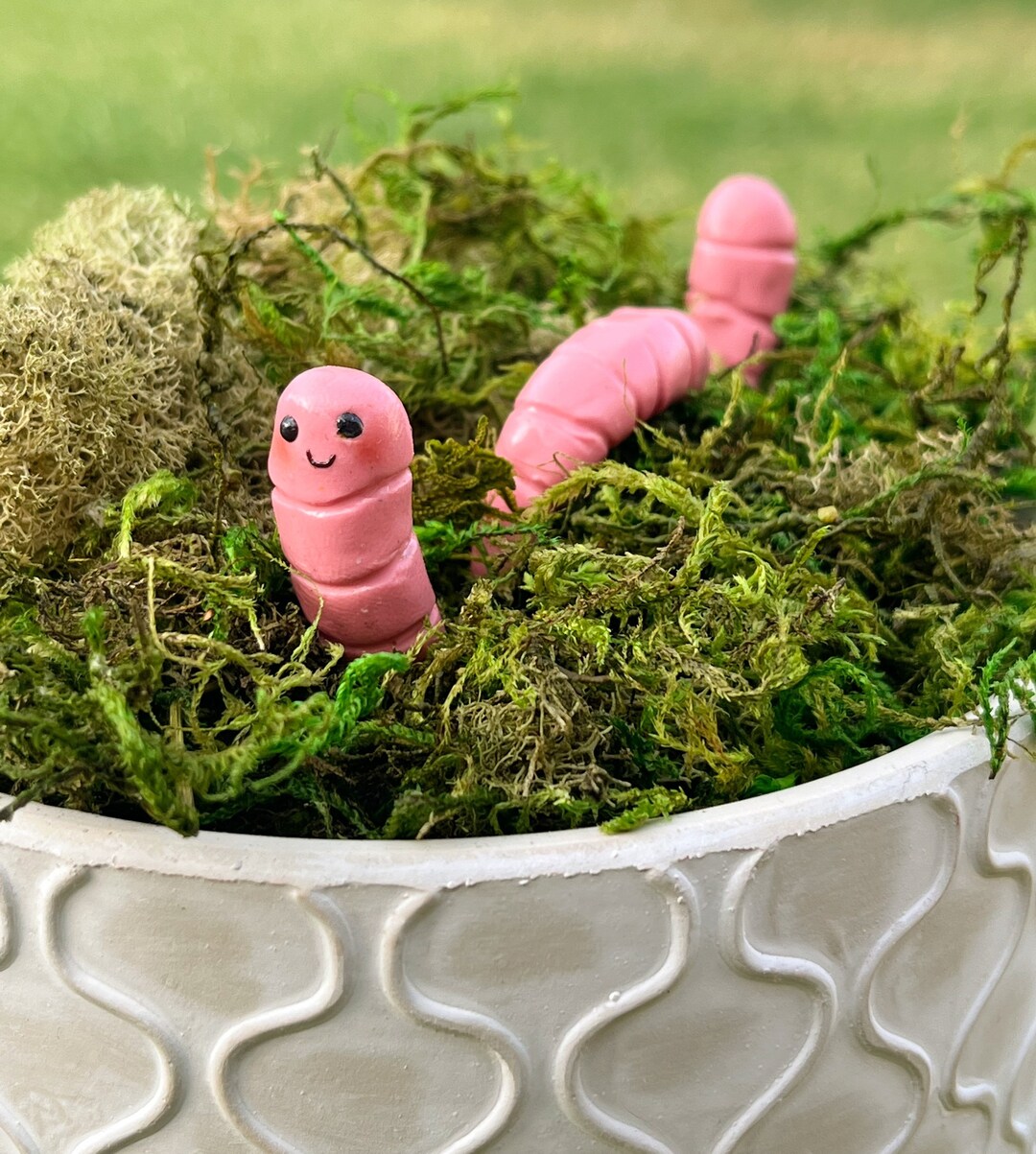 Wally the Worm Plant Pot Accessory Buddy Pal Plant Decoration Friend ...