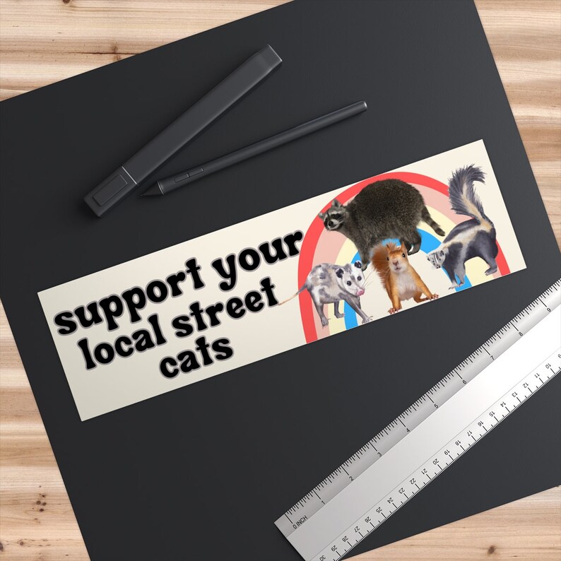 Support Your Local Street Cats Bumper Sticker Raccoon - Etsy