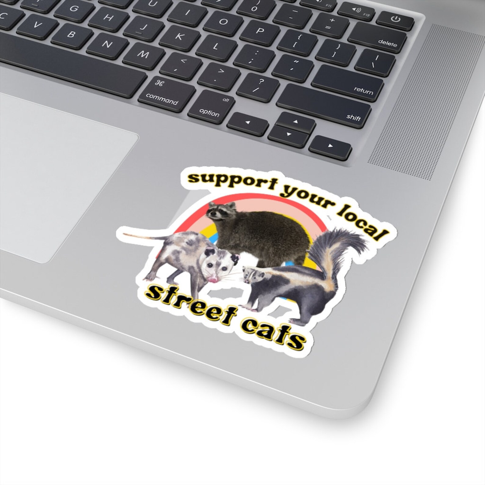 Support Your Local Street Cats Sticker | Raccoon, Opossums, Skunks ...