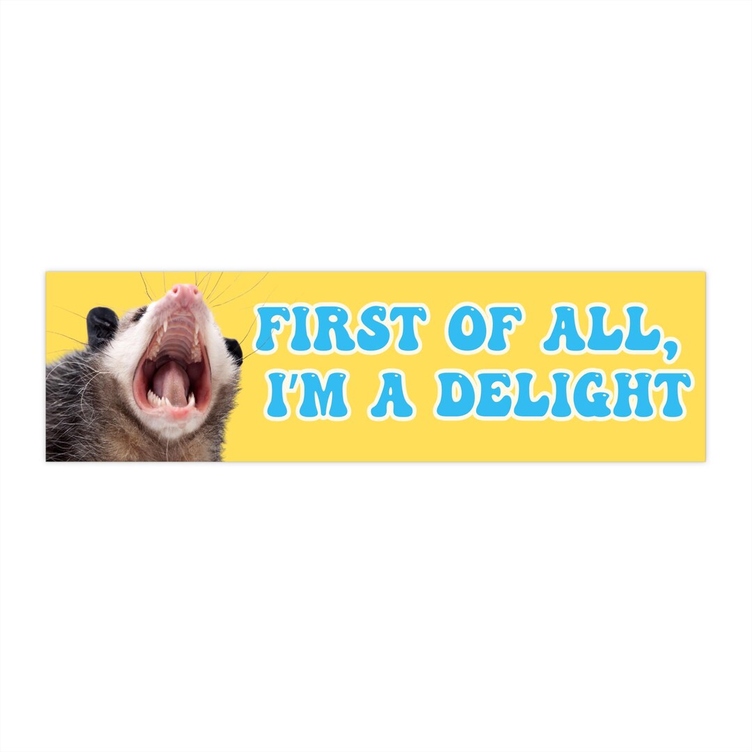 Funny Opossum Bumper Stickers - Cute Animal Car Decal for Opossum ...