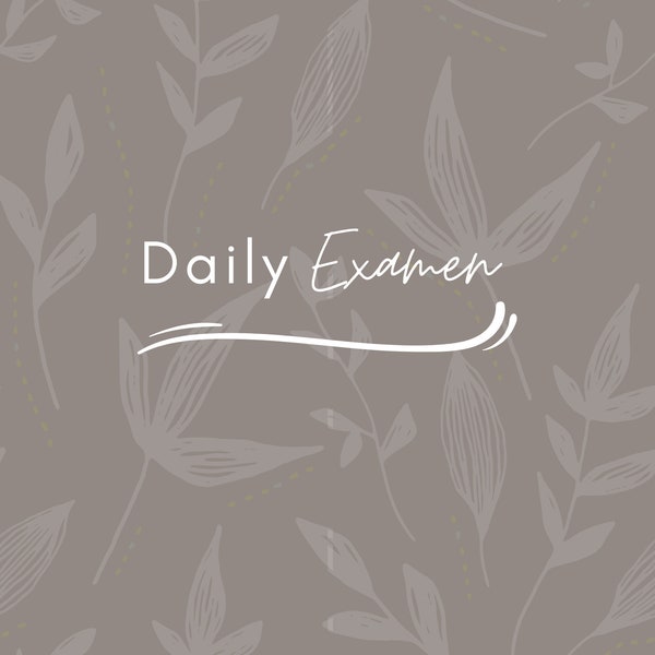 Daily Examen Journal - Etsy