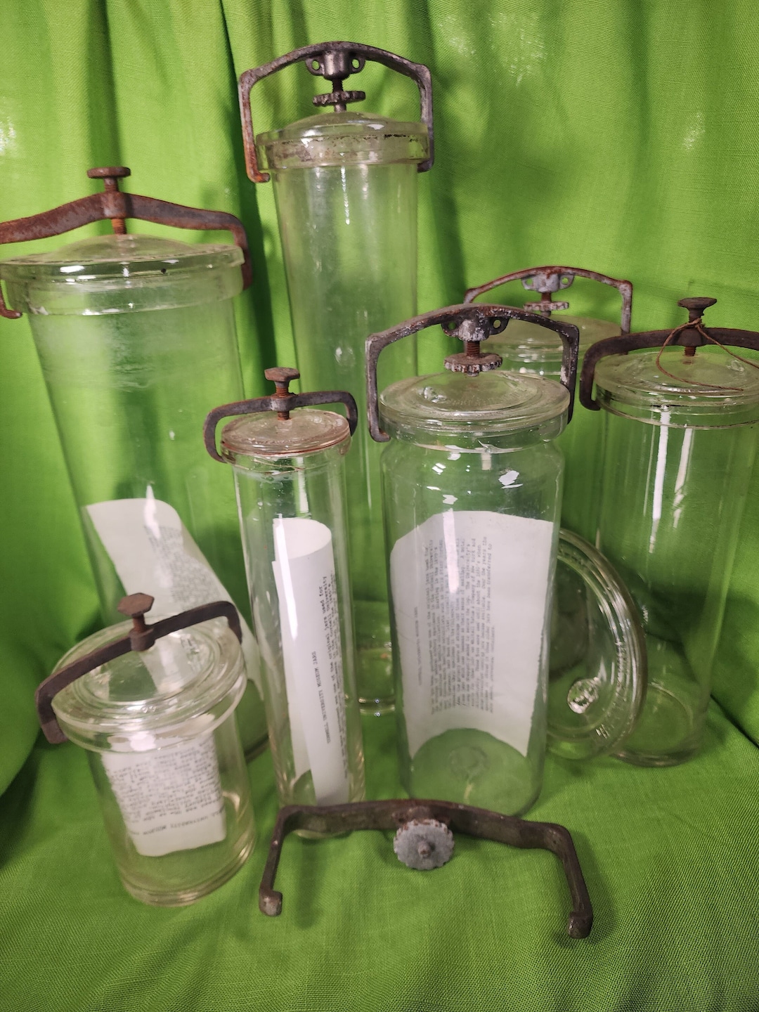 Whitall Tatum Specimen Jars - Etsy