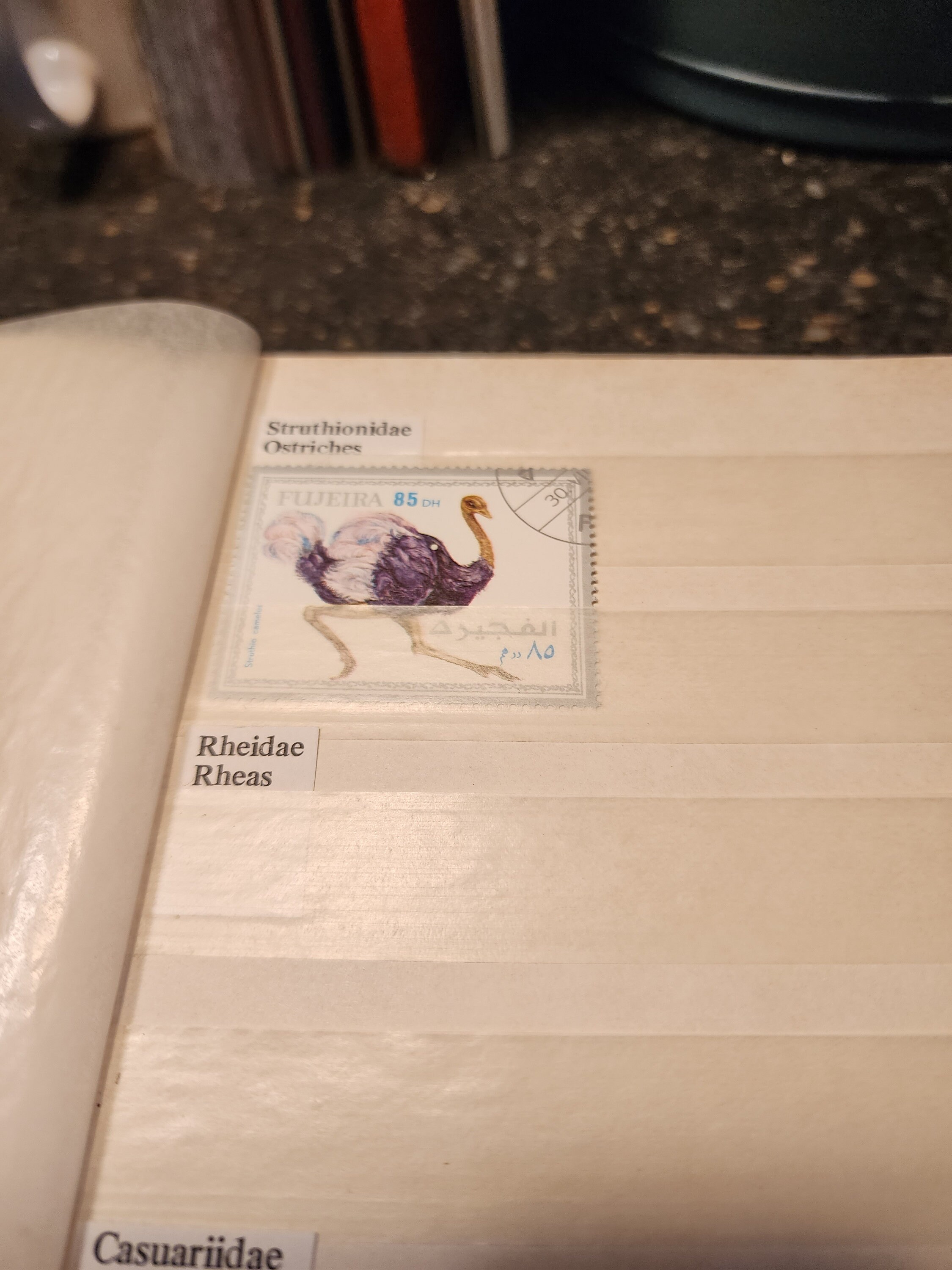 Bird Stamp Collection - Etsy