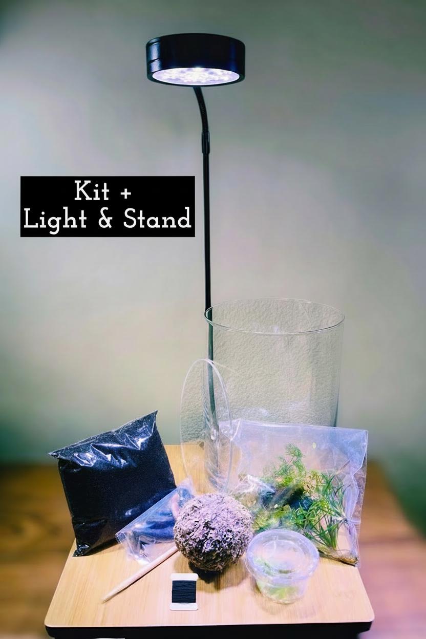 Aquatic Ecosystem DIY Kit | Live Plant Terrarium Aquarium - Etsy
