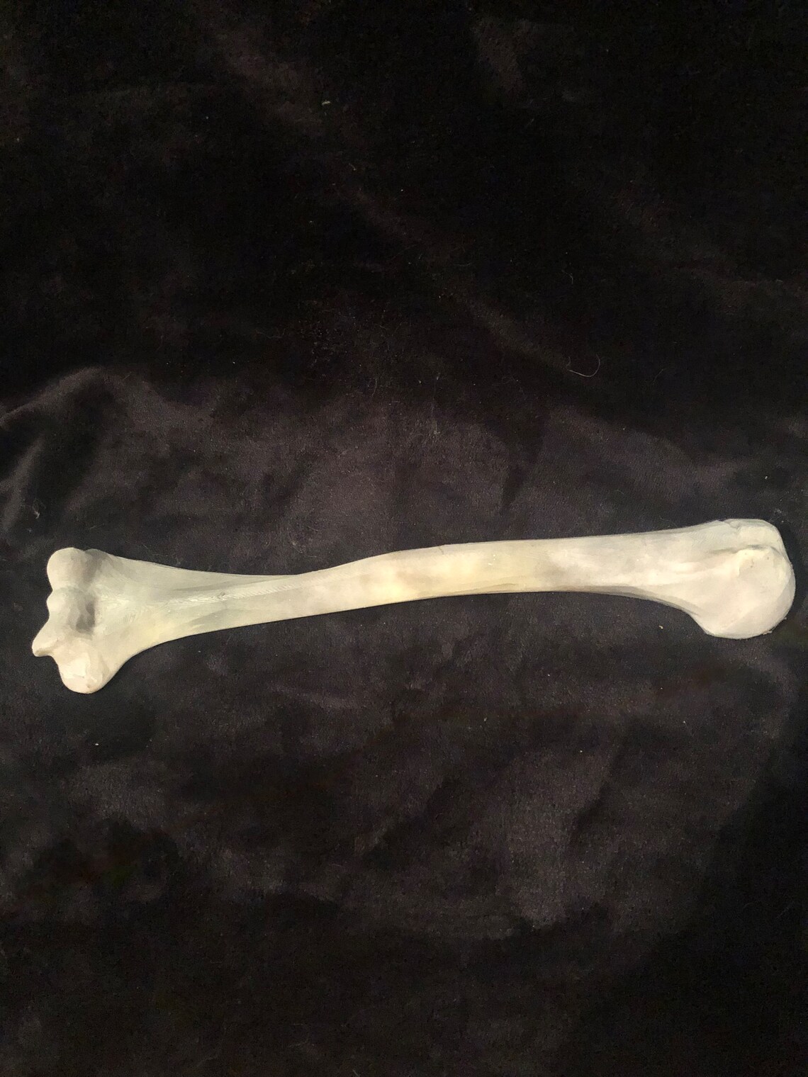 Femur Bone 3D Printed 300mm Long - Etsy