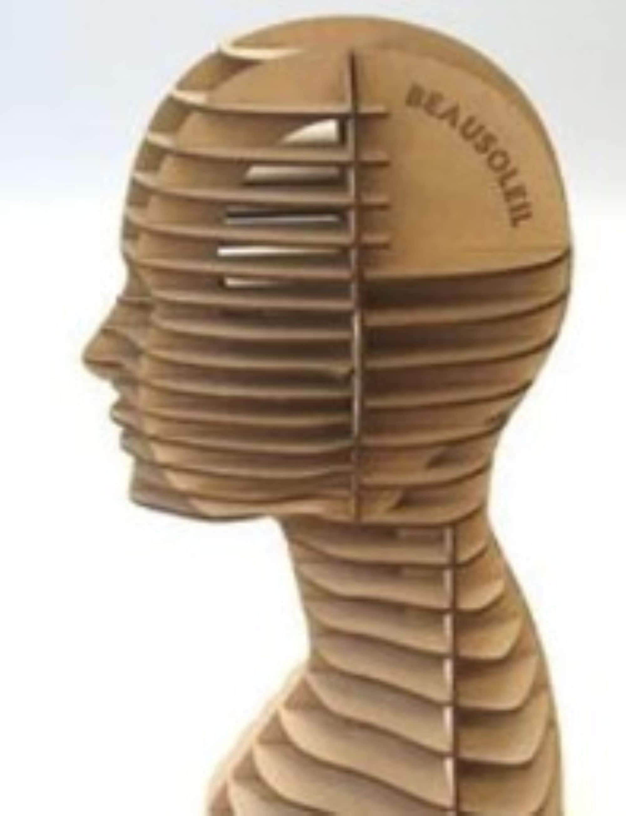 The Human Head. Laser Cut Vector Svg, Dxf, Cnc Router Files, Cnc Plans ...