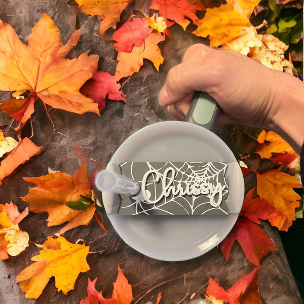 Spiderweb Stanley - Etsy