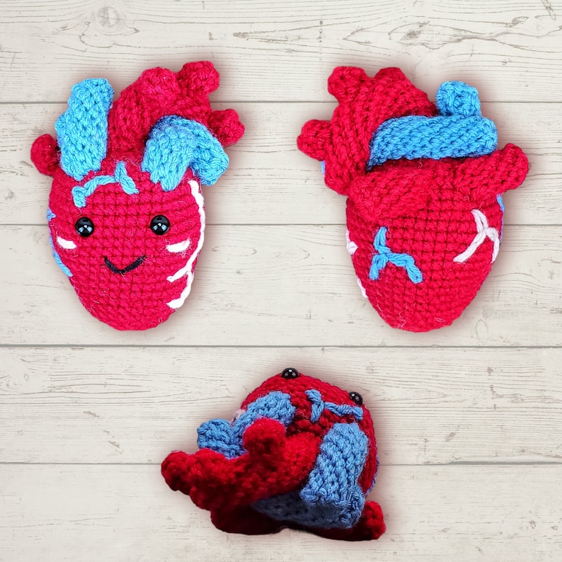 Biology Gift Heart Plushie Anatomical Educational Toy Science Gift for ...