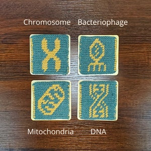 Science Coasters Biology Gift for STEM Teachers Science Students ...