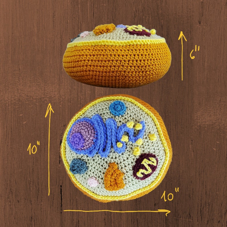 Educational Science Toy Biology Gift for Kids Plushie Microbiology ...