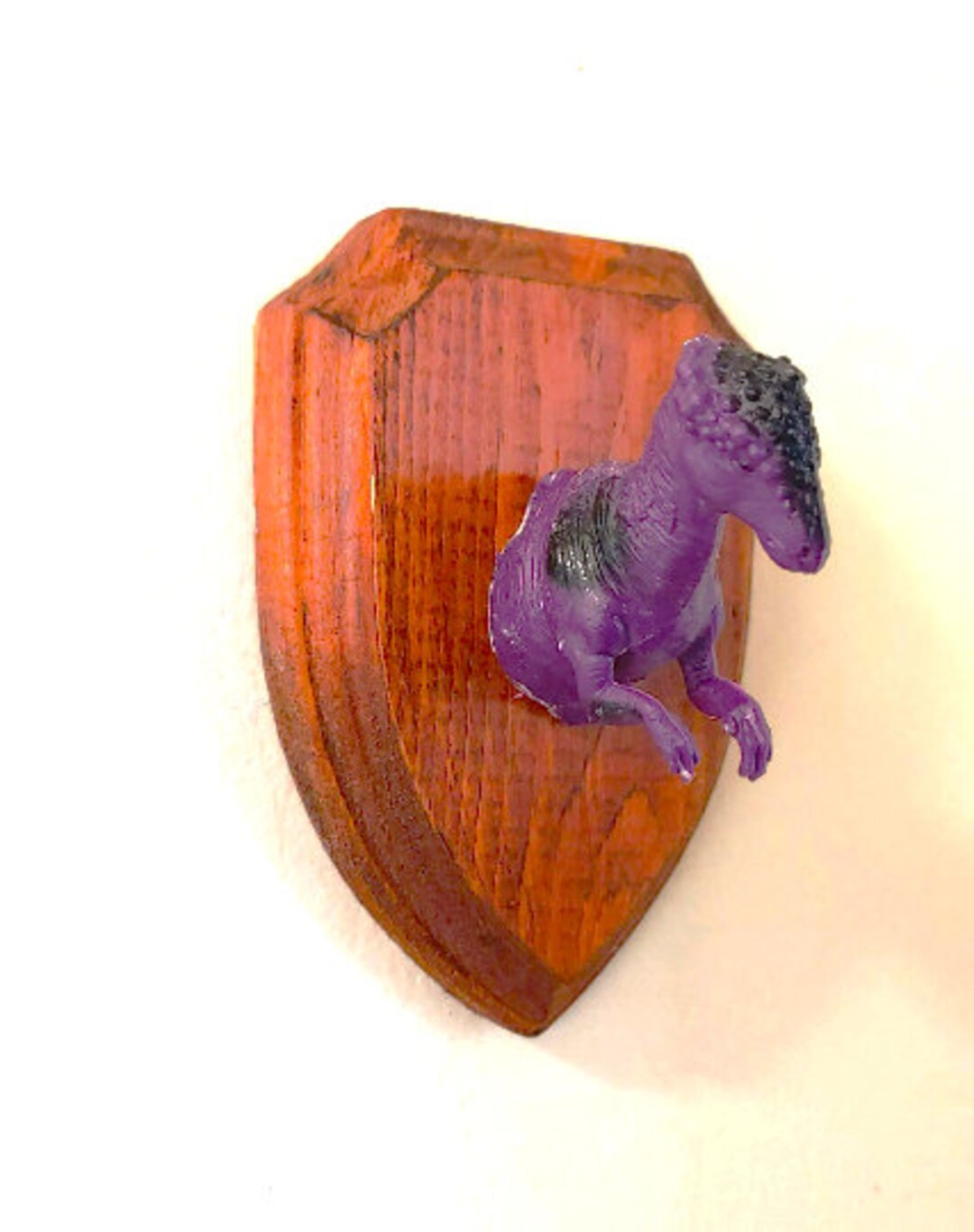 Dinosaur Trophy Mount - Faux Taxidermy Purple Pachycephalosaurus on ...