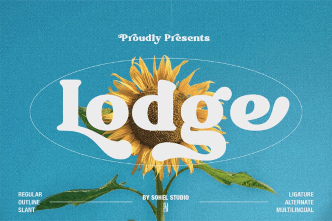 Retro 70's Font | Modern Serif Font | Chunky Script Font | Curly Font ...