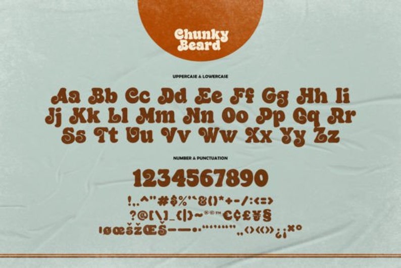 Chunky Script Font | Modern Serif Font | Groovy Script Font | Proreate ...