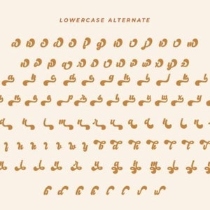 Chunky Retro Groovy Font, Retro Serif Font, Fonts Procreate, Fonts ...