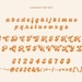 Chunky Retro Groovy Font, Retro Serif Font, Fonts Procreate, Fonts ...