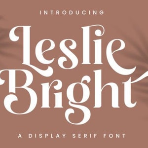 Retro Font Bundle | Retro Modern Font | Groovy Font | Retro Serif Font ...