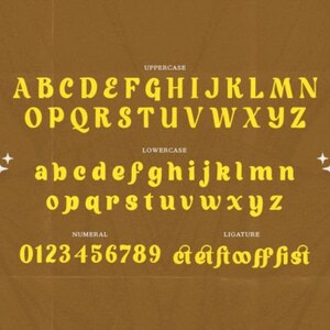 Retro Groovy Font, Retro Serif Font, Display Serif Font, Fonts ...