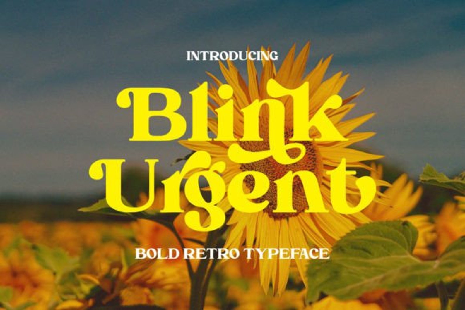 Chunky Script Font | Modern Serif Font | Groovy Script Font | Proreate ...