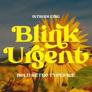 Chunky Script Font | Modern Serif Font | Groovy Script Font | Proreate ...