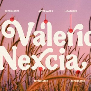 Retro Serif Font ,retro Groovy Font, Vintage Font, Font With Tails ...