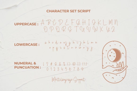 Modern Font Duo, San Serif Font, Script Font, Longtail Font, Bold Font, Font With Tails - Etsy