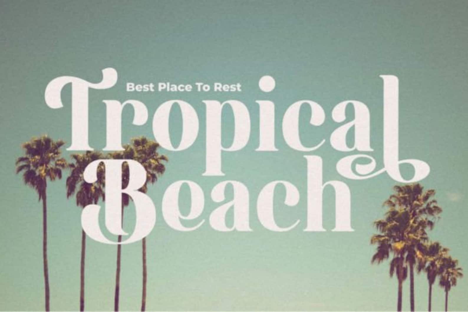 Modern Serif Font, Fonts Procreate, Fonts Cricut, Retro 70s Font, Fonts ...