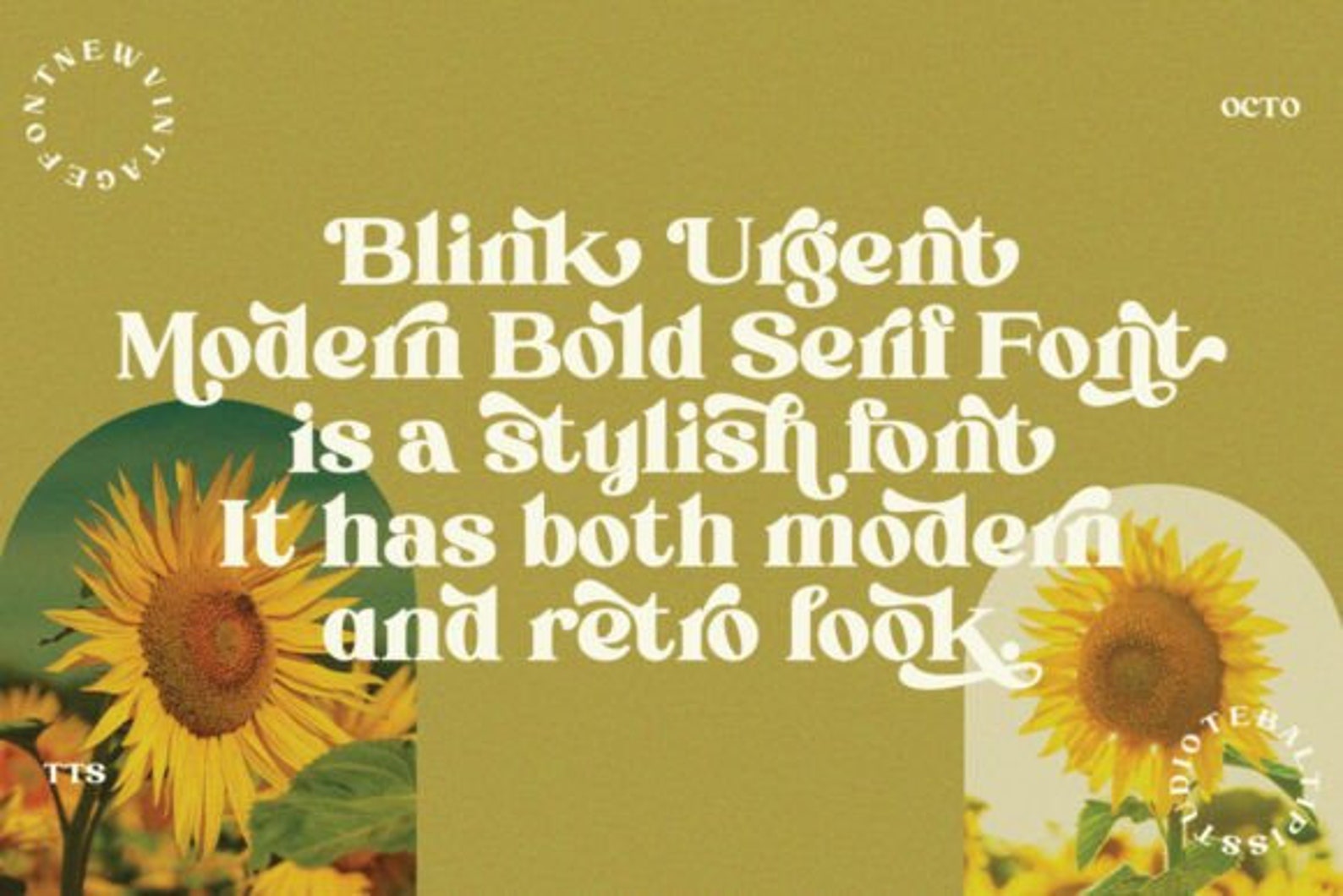 Chunky Script Font | Modern Serif Font | Groovy Script Font | Proreate ...