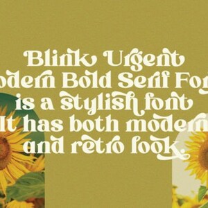 Chunky Script Font | Modern Serif Font | Groovy Script Font | Proreate Font | Cricut Font ...