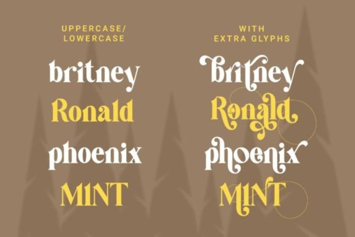 Modern Serif Font, Fonts Procreate, Fonts Cricut, Retro 70s Font, Fonts ...