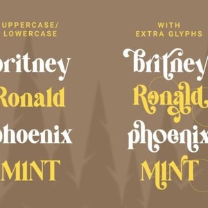 Modern Serif Font, Fonts Procreate, Fonts Cricut, Retro 70s Font, Fonts ...