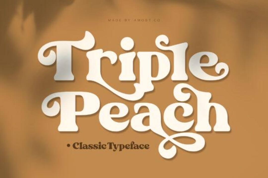Nostalgic Serif Font, Fonts Procreate, Fonts Cricut, Retro 70s Font ...