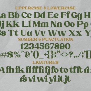 Chunky Script Font | Modern Serif Font | Groovy Script Font | Proreate ...