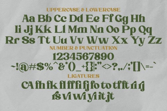 Chunky Script Font | Modern Serif Font | Groovy Script Font | Proreate Font | Cricut Font ...